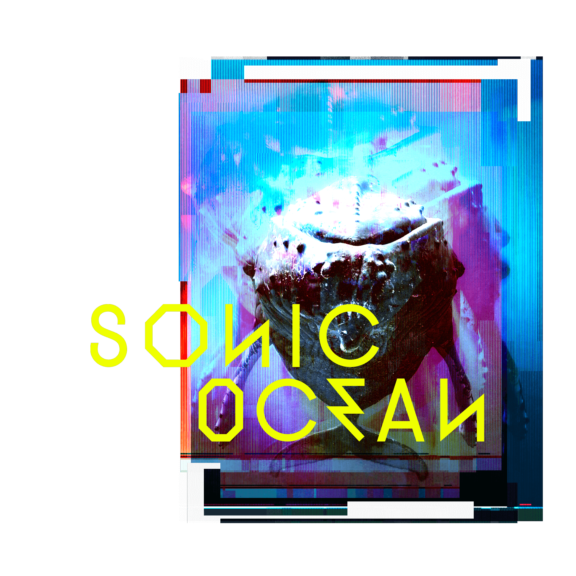 Sonic Ocean | Céline Papion | Cellist & Performer